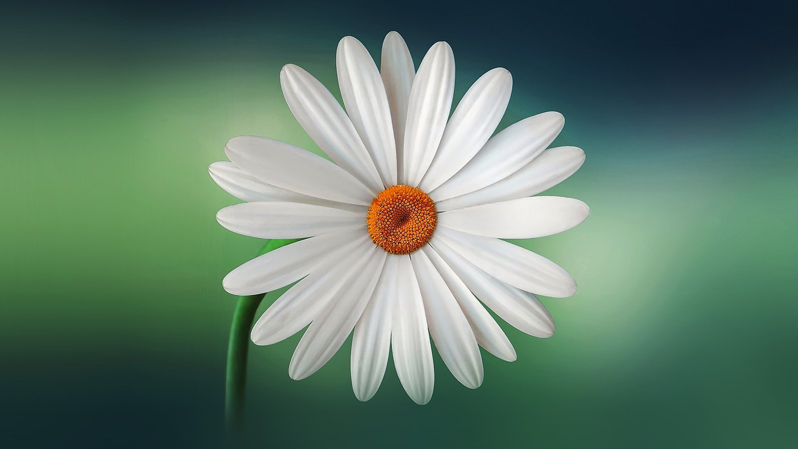 ICT-AMSOS Login - DENR